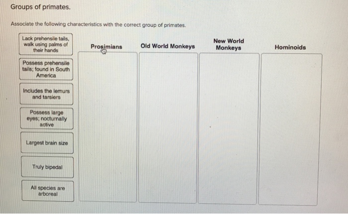 Solved Groups of primates. Associate the following | Chegg.com