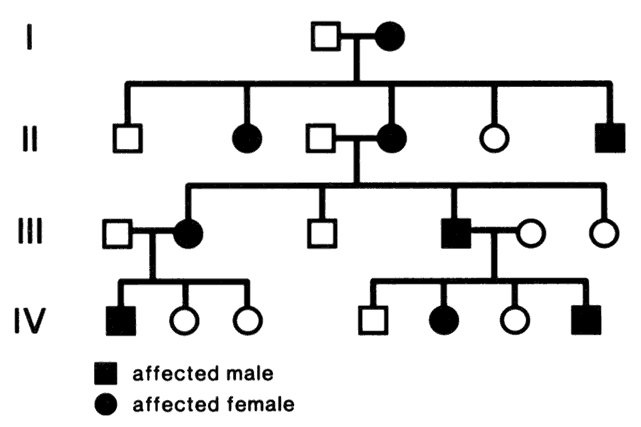 Solved In this same pedigree for freckles, what is the | Chegg.com