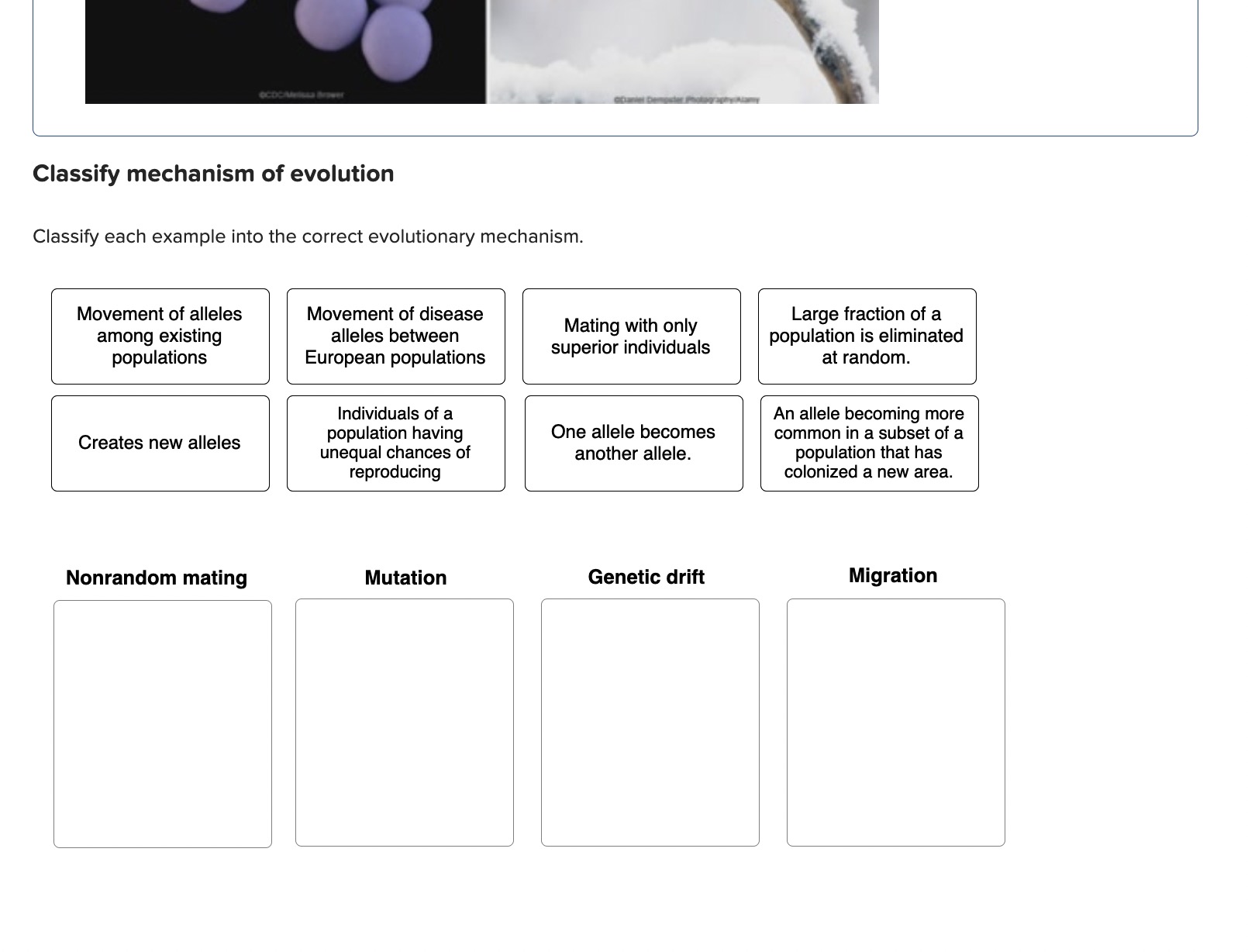Solved Classify mechanism of evolutionClassify each example | Chegg.com