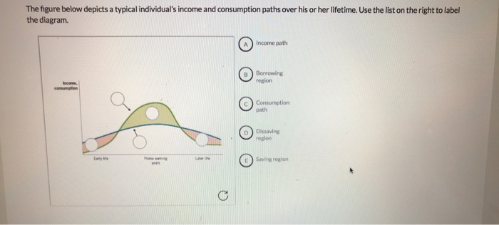 Solved The figure below depicts a typical individual's | Chegg.com