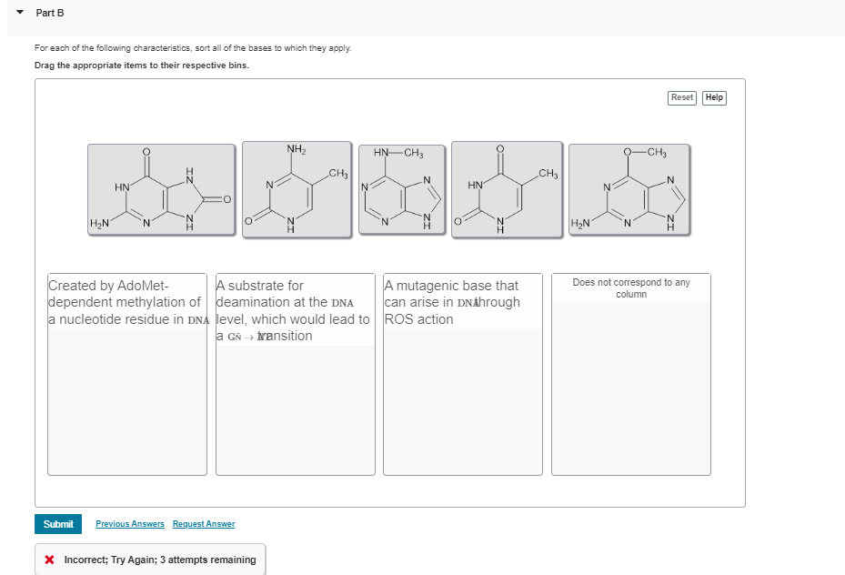 Solved Part BFor each of the following characteristics, sort | Chegg.com