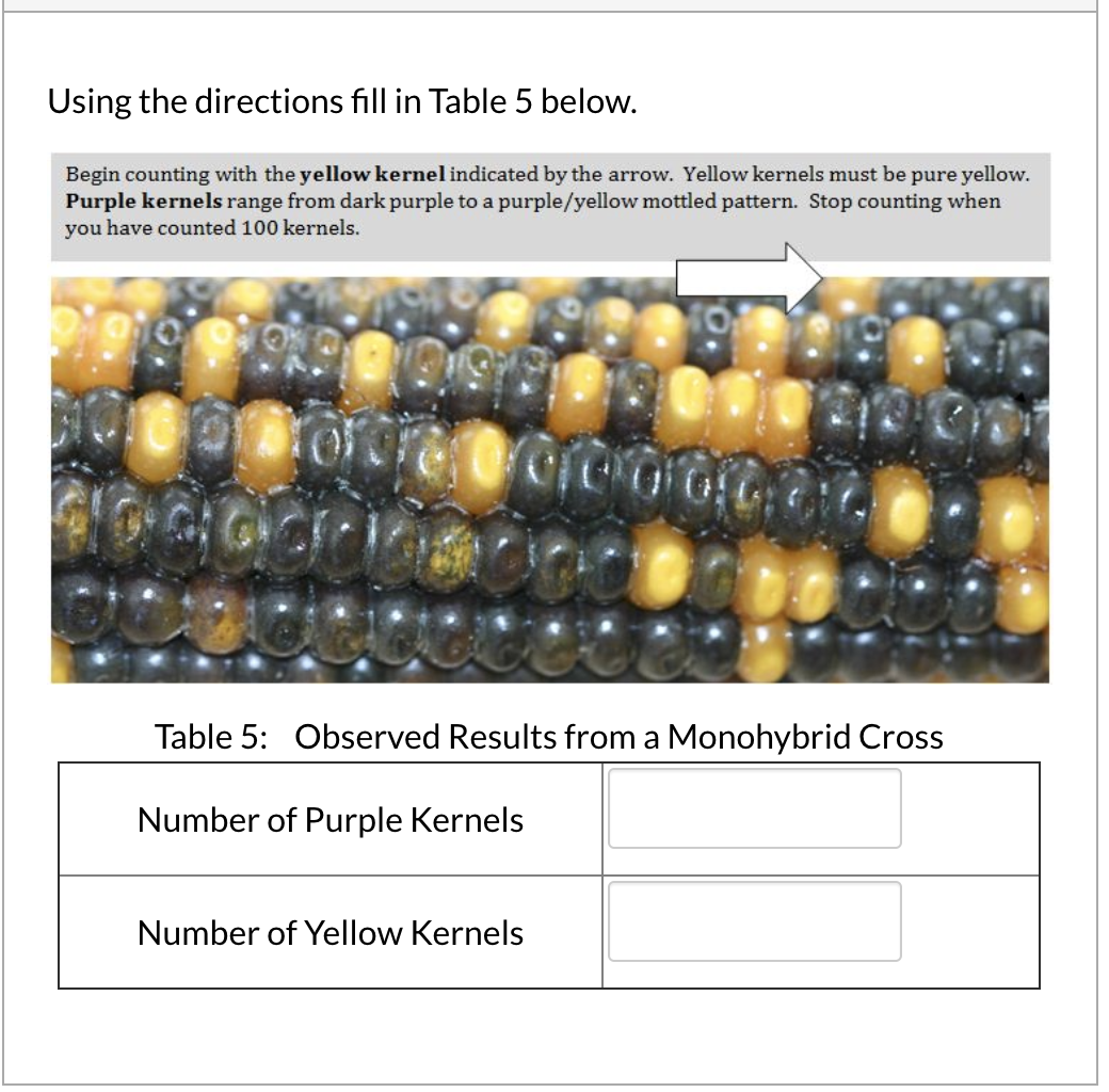 Solved Using the directions fill in Table 5 below. Begin | Chegg.com