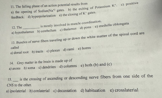Solved 11. The falling phase of an action potential results | Chegg.com