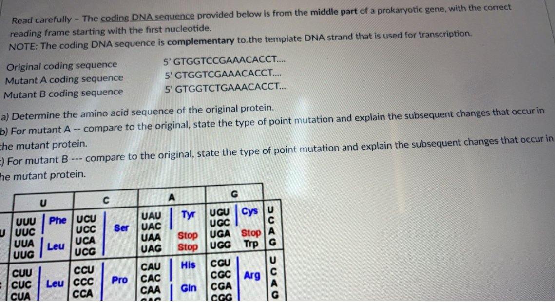 Solved Read carefully - The coding DNA sequence provided | Chegg.com