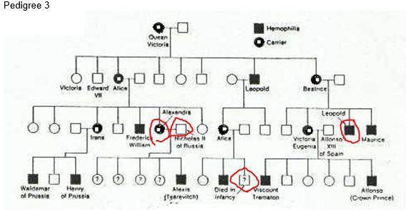 Solved For the following pedigree determine if they are an | Chegg.com