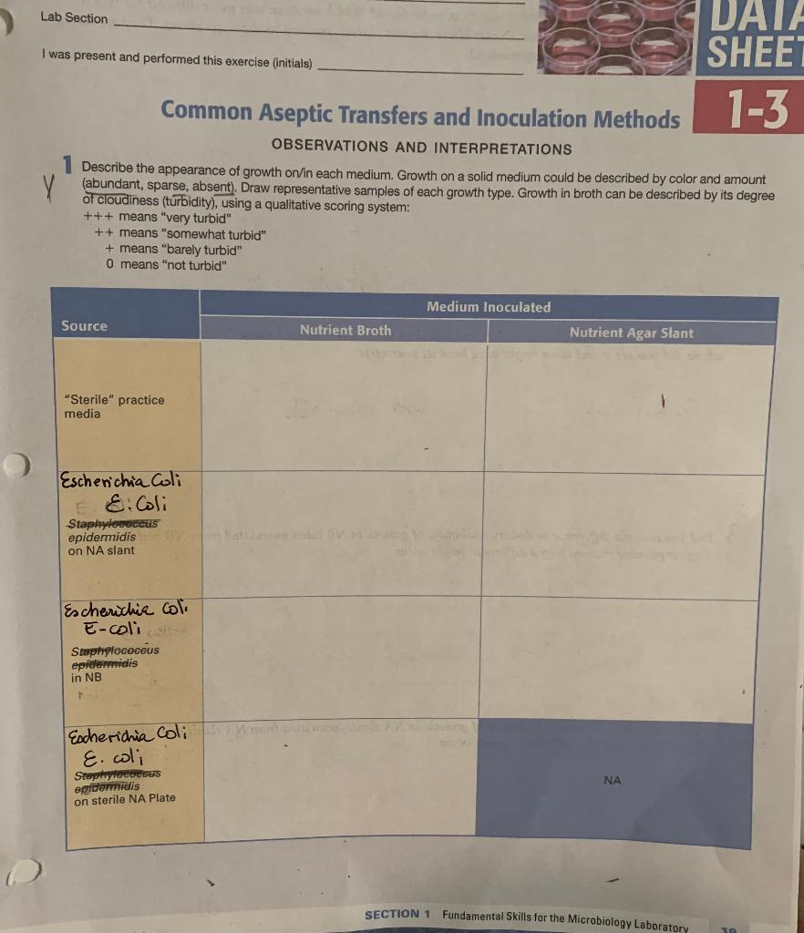 Solved Common Aseptic Transfers and Inoculation Methods | Chegg.com