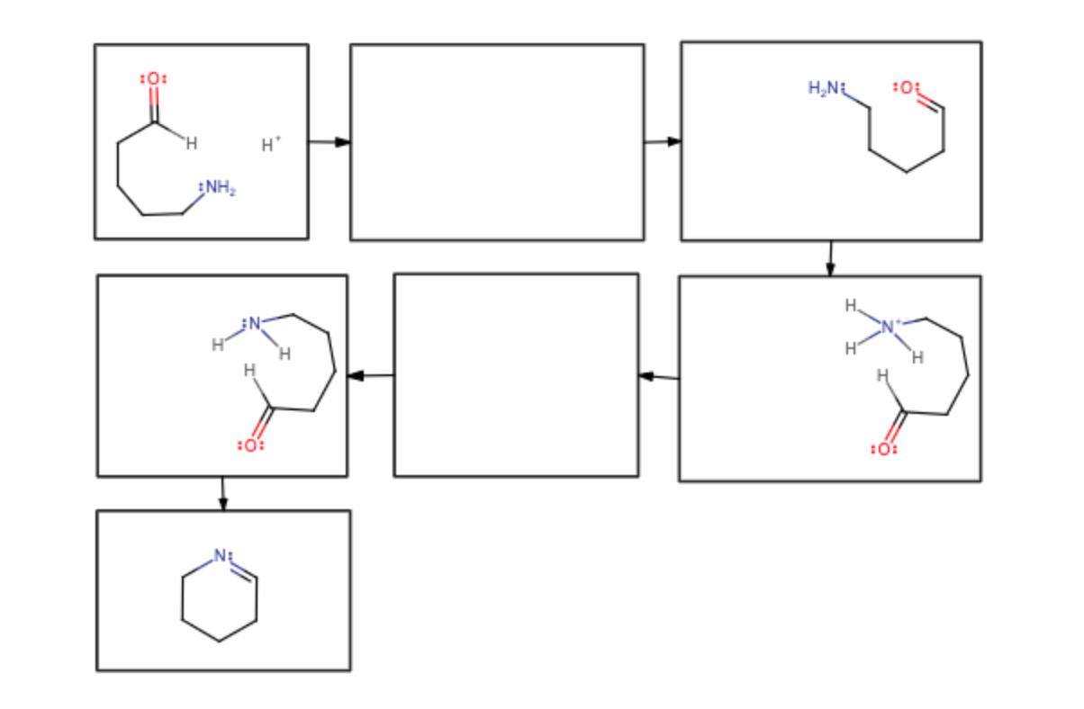 Solved Draw a reasonable mechanism for this reaction with | Chegg.com