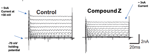 The same scientist is studying how *compound z* | Chegg.com