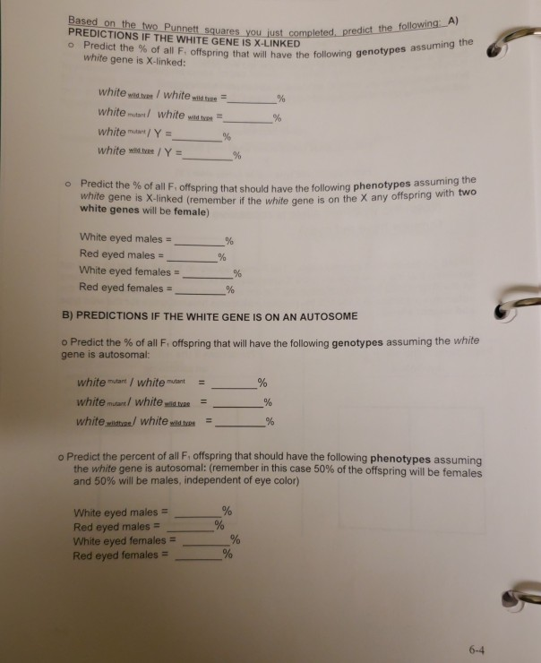 Solved 1. Inheritance patterns of dominant and recessive | Chegg.com