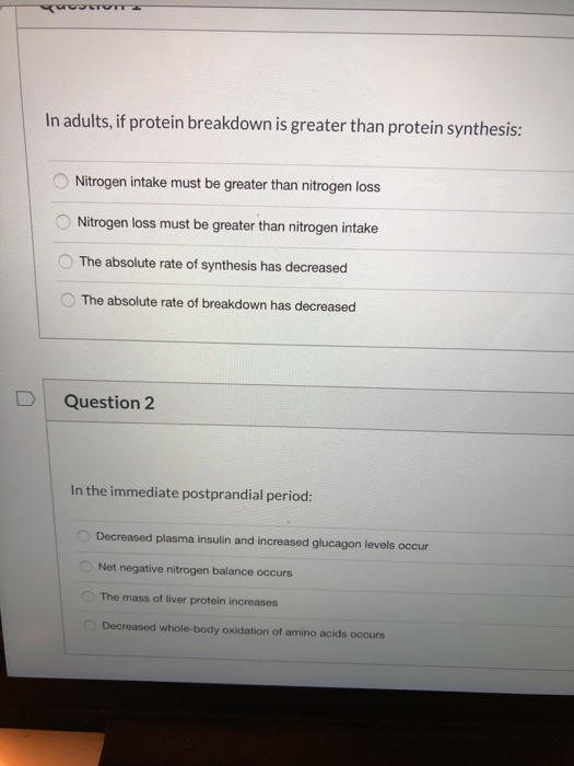Solved In adults, if protein breakdown is greater than | Chegg.com