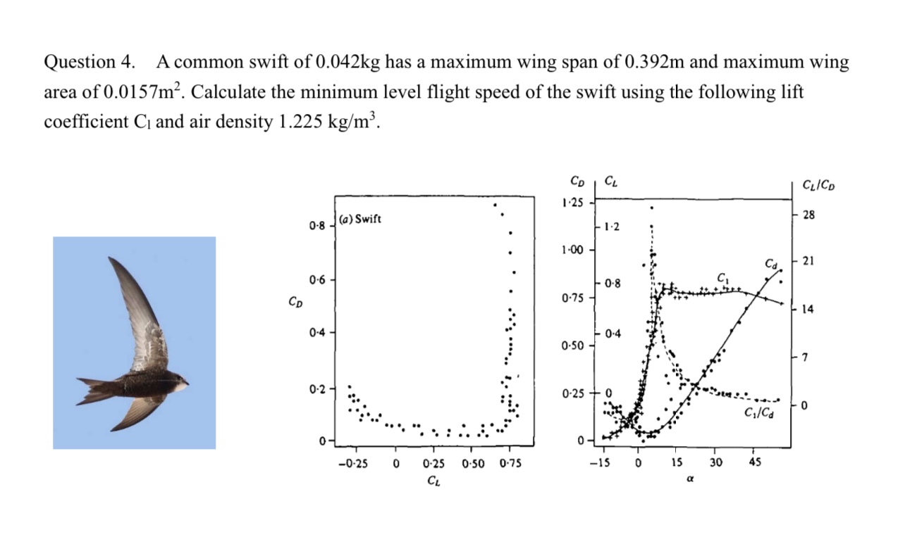 Question 4. A common swift of 0.042 kg has a maximum | Chegg.com