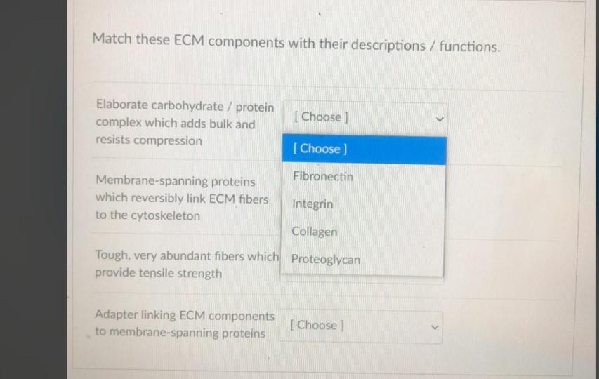 Solved Match these ECM components with their descriptions / | Chegg.com