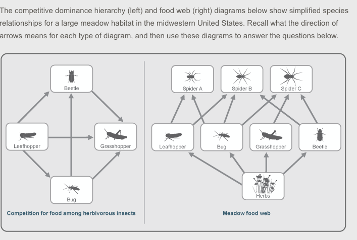 Solved: The Competitive Dominance Hierarchy (left) And Foo... | Chegg.com