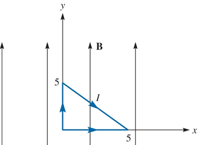 Solved A triangular loop is placed in the x-y plane as shown | Chegg.com