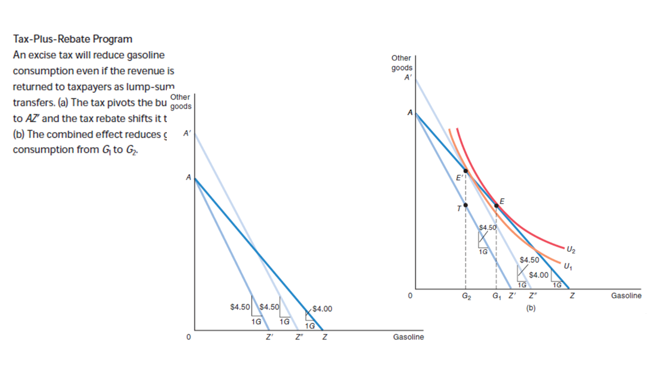 Solved In the tax-plus-rebate example discussed in the text, | Chegg.com