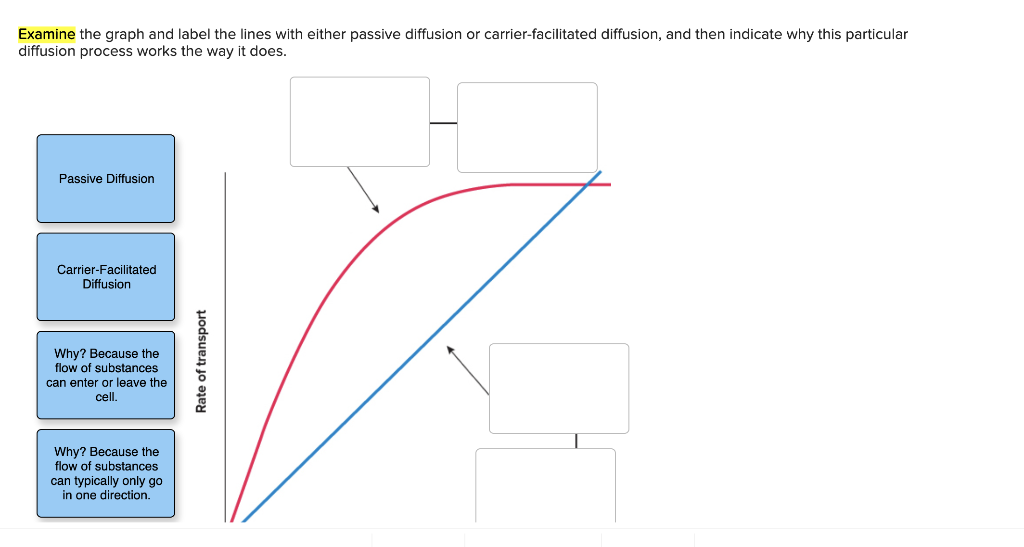 Solved Examine The Graph And Label The Lines With Either