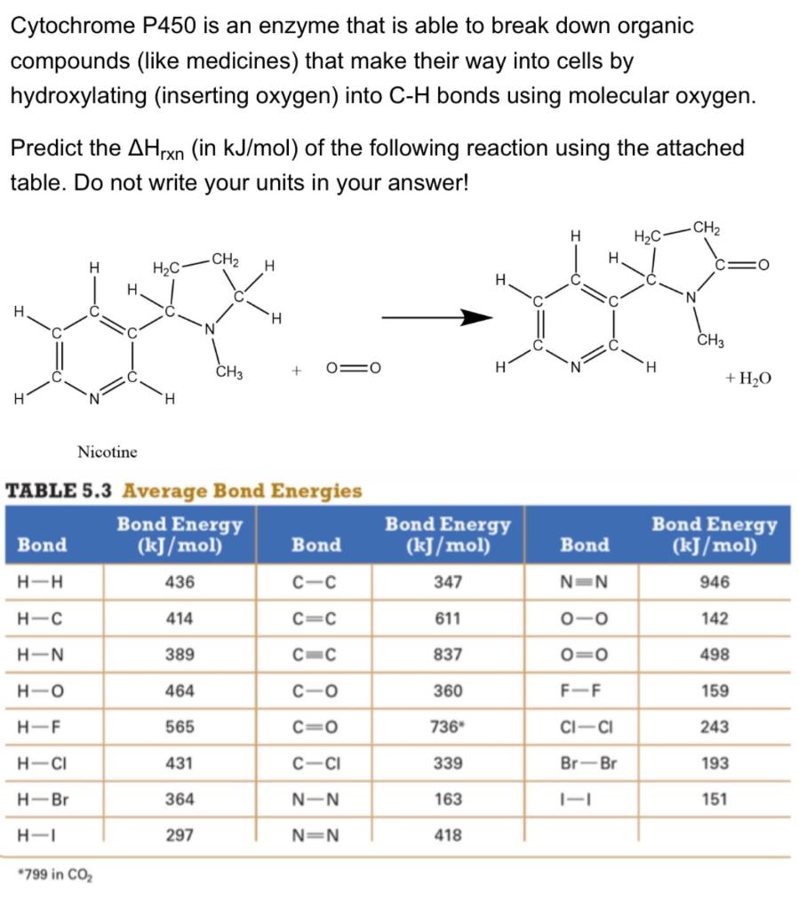 Solved Cytochrome P450 is an enzyme that is able to break | Chegg.com