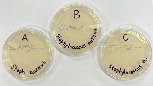 Solved Which of the culture plates above is labeled using | Chegg.com