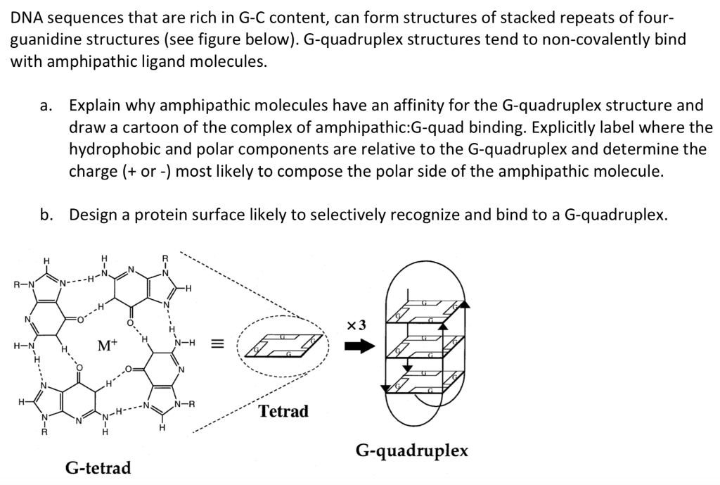 DNA sequences that are rich in G-C content, can form | Chegg.com