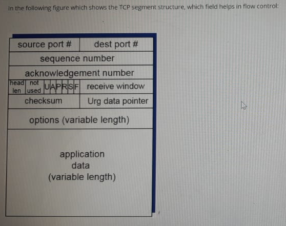 Solved in the following figure which shows the TCP segment | Chegg.com