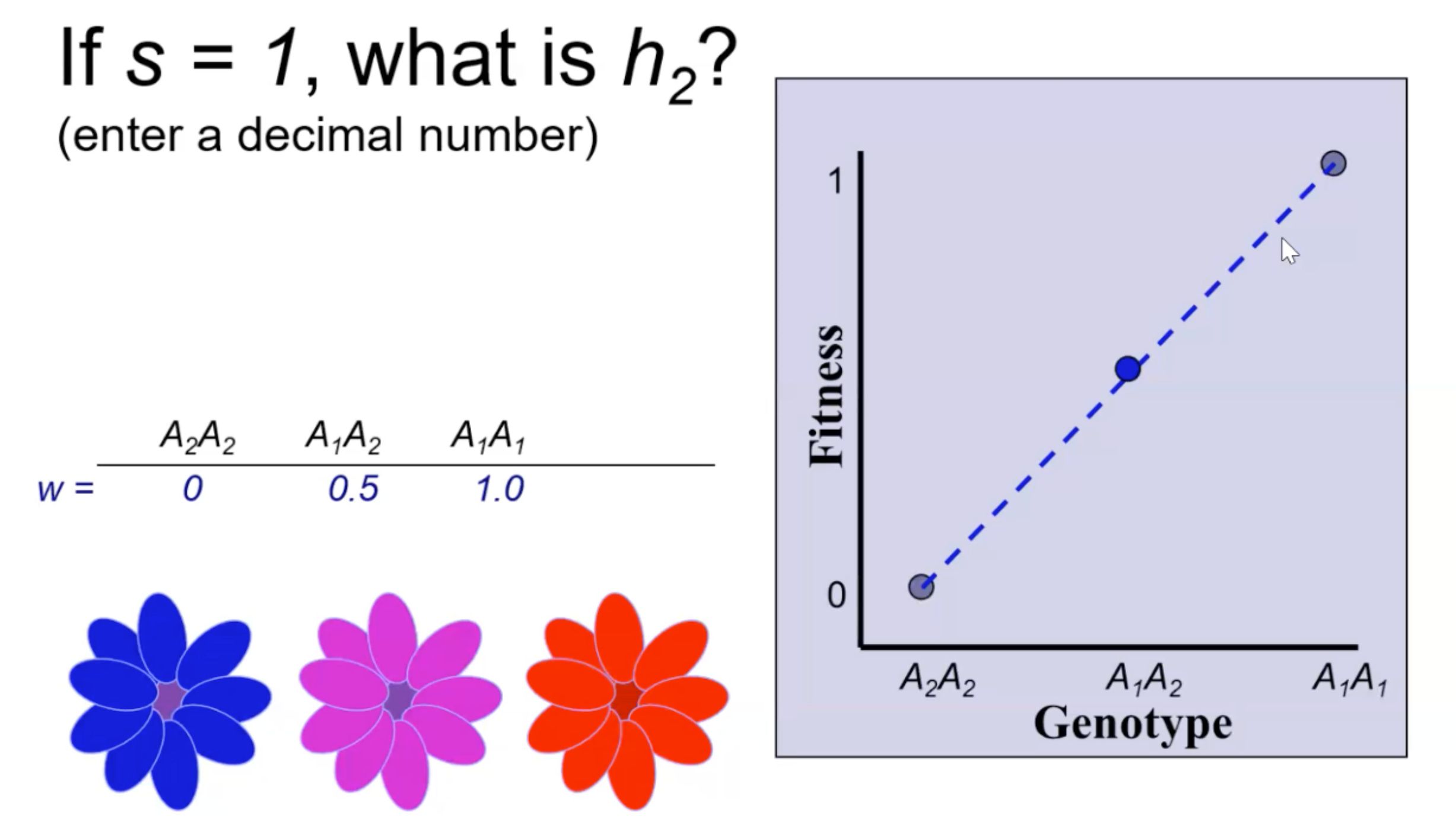 Solved If s=1, ﻿what is h2 ?(enter a decimal | Chegg.com