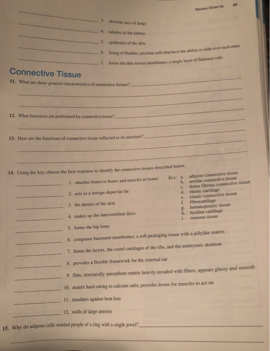 Solved LAB TIME/DATE 6 REVIEW SHEET EXERCISE Classification | Chegg.com Solved LAB TIME/DATE 6 REVIEW SHEET EXERCISE Classification | Chegg.com