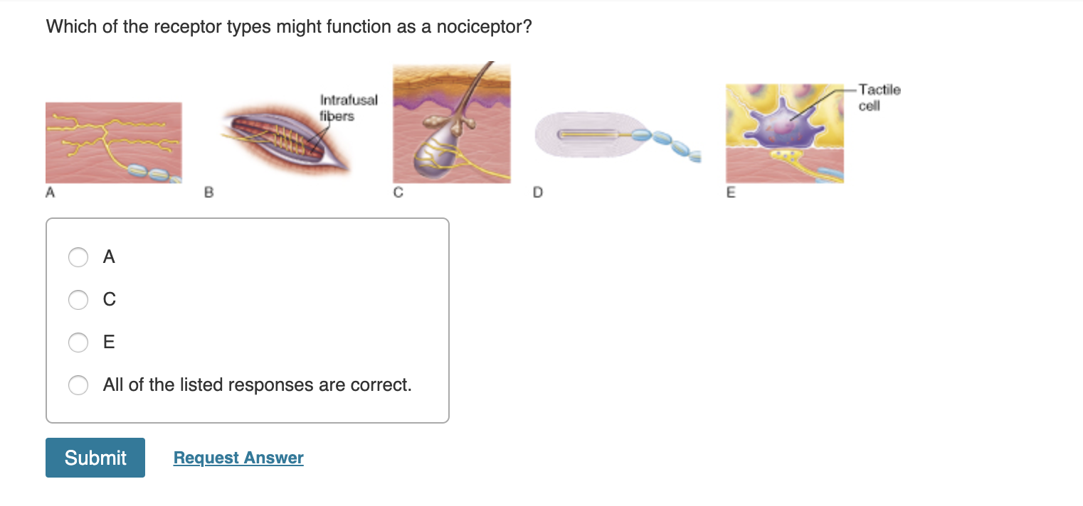 Solved Which of the receptor types might function as a | Chegg.com