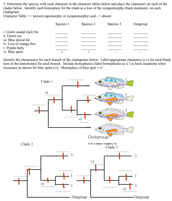 5. Determine the species with each character in the | Chegg.com