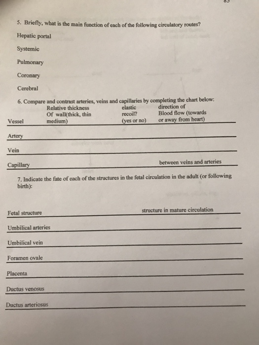 Solved 5. Briefly, what is the main function of each of the | Chegg.com