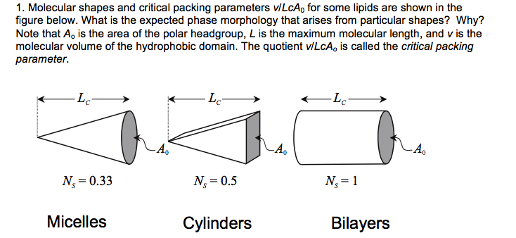 1. Molecular shapes and critical packing parameters | Chegg.com