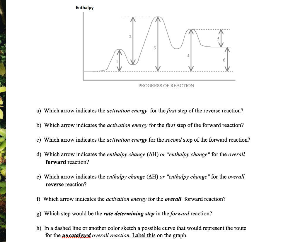 Solved Enthalpy PROGRESS OF REACTION ) Which arrow indicates | Chegg.com