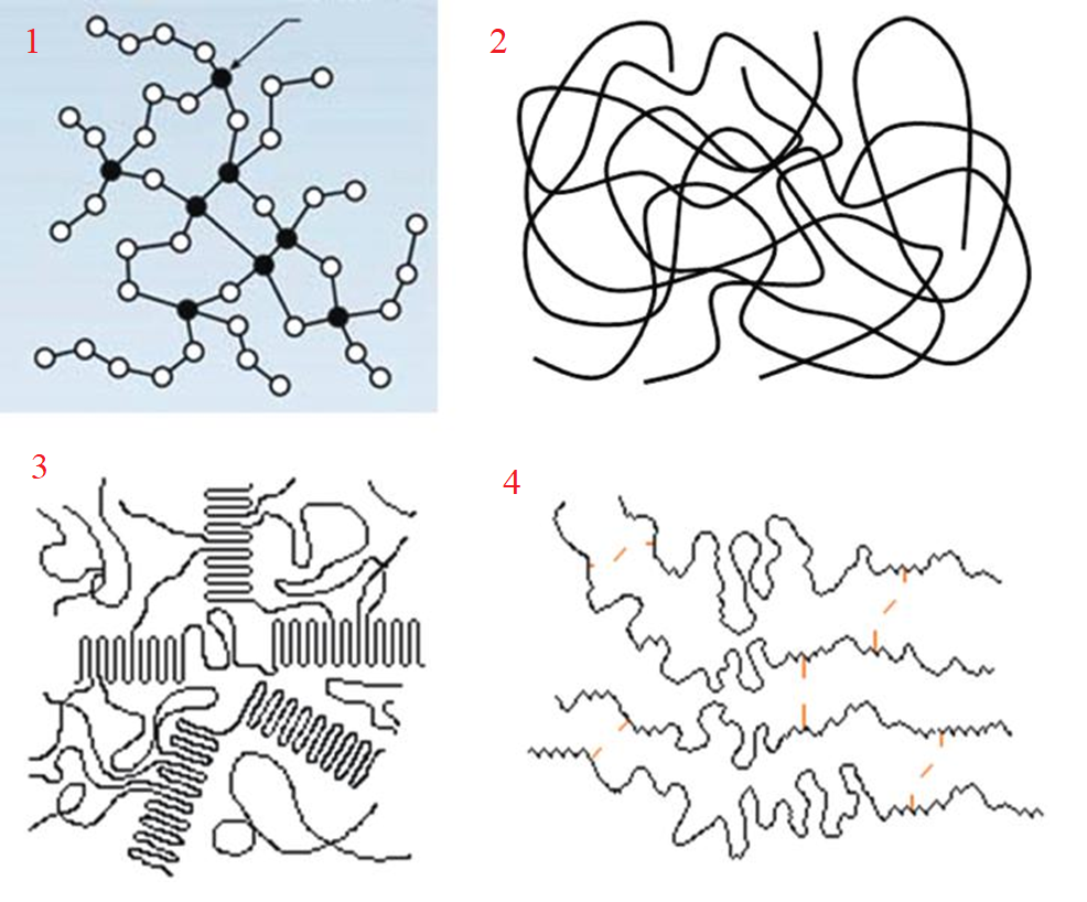 Solved Which of the following schematic polymers can be a | Chegg.com