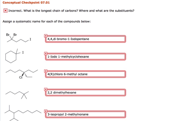 Solved Conceptual Checkpoint 07.01 X Incorrect. What is the | Chegg.com