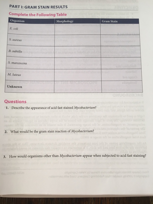 Solved PART I: GRAM STAIN RESULTS Complete the Following | Chegg.com