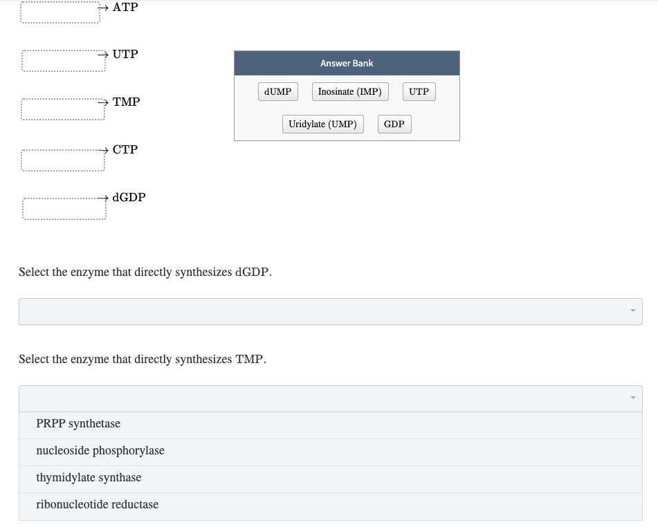 Solved ATP → UTP Answer Bank JUMP Inosinate (IMP) UTP **-> | Chegg.com