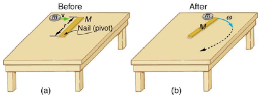 A disk slides toward a motionless stick on a | Chegg.com