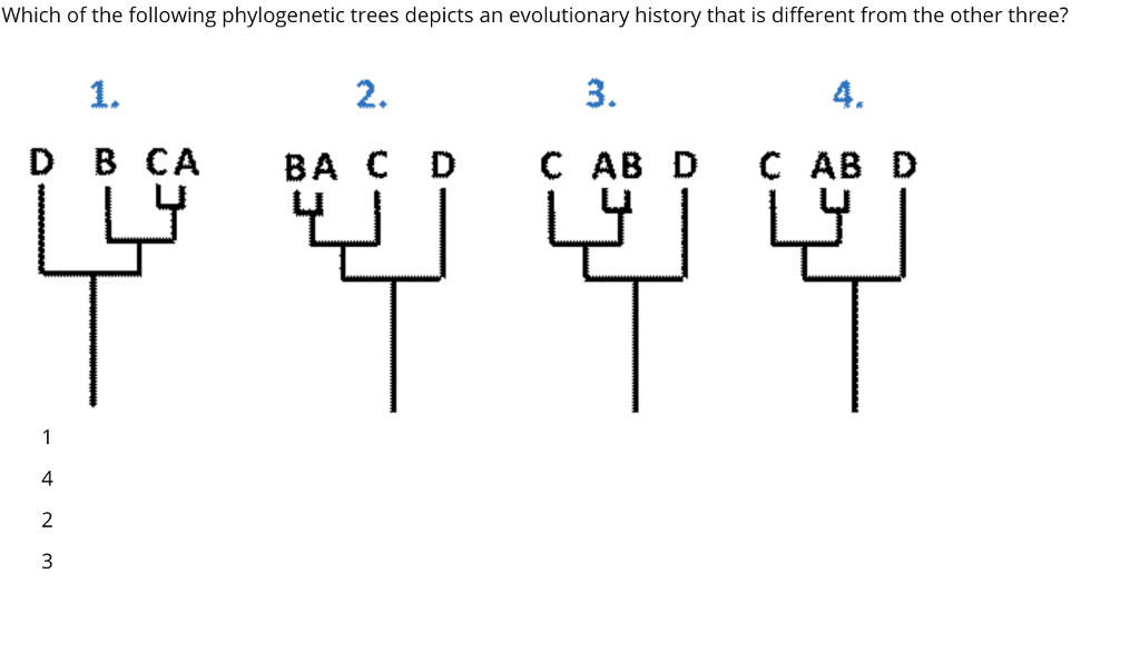Solved Which of the following phylogenetic trees depicts an | Chegg.com