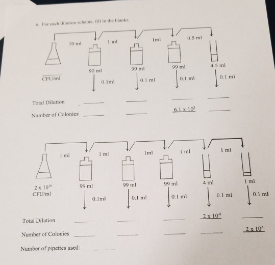 Solved o For each dilution scheme, fill in the blanks 10 ml | Chegg.com