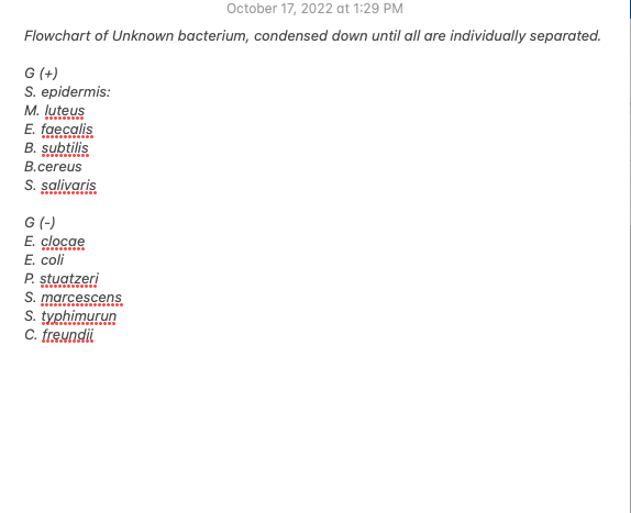 Solved I am needing help creating a dichotomous key using | Chegg.com