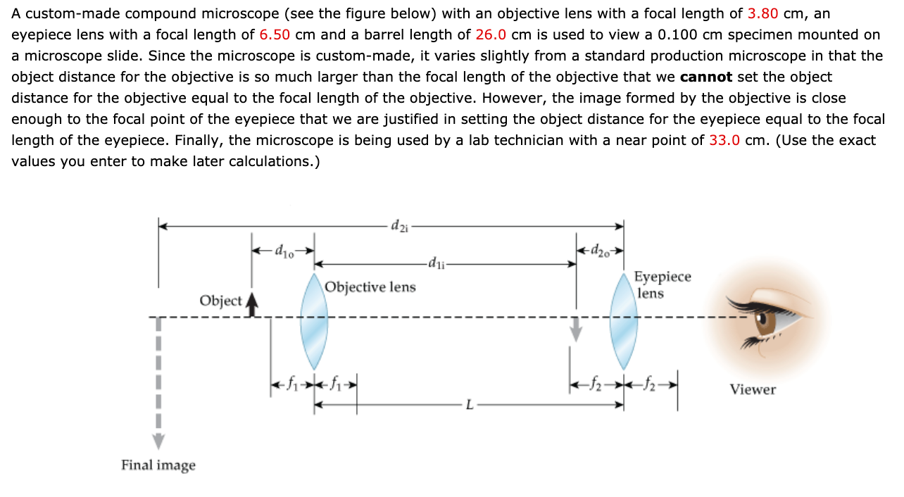 Solved A custom-made compound microscope (see the figure | Chegg.com
