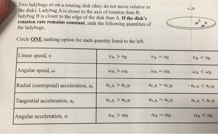 Solved Two ladybugs sit on a rotating disk (they do not move | Chegg.com