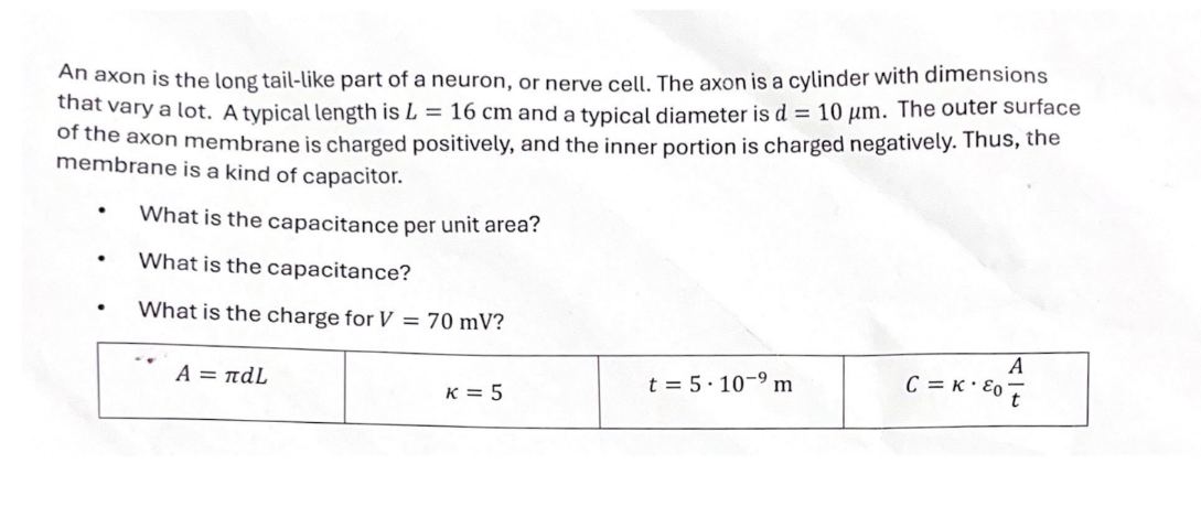 Solved An axon is the long tail-like part of a neuron, or | Chegg.com