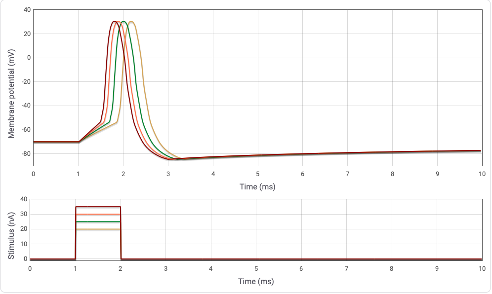 Solved Is local response a gradual or non-gradual process? | Chegg.com