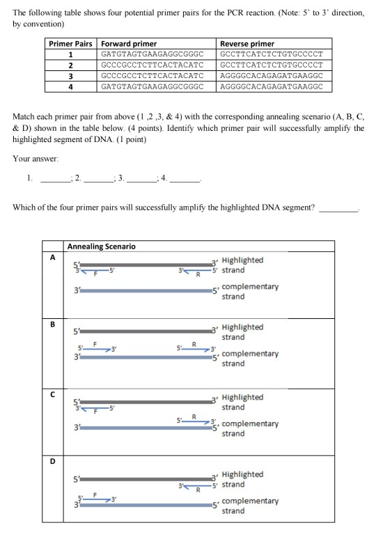 Solved The sequence of one of the alleles of the PTC gene is | Chegg.com