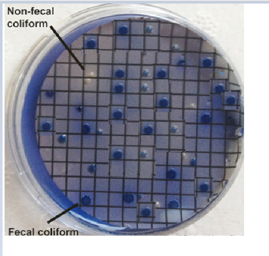 Solved A researcher performed an experiment in order to | Chegg.com