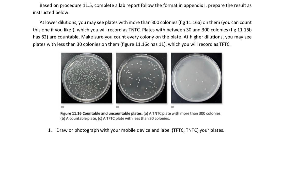 Based on procedure 11.5, complete a lab report follow | Chegg.com