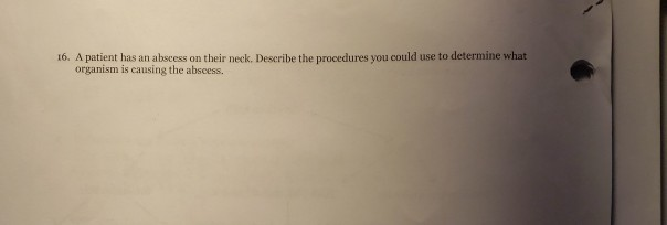 Solved 16. A patient has an abscess on their neck. Describe | Chegg.com