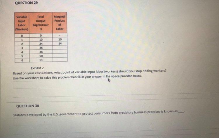 Solved QUESTION 29 Variable Input Labor (Workers) Total | Chegg.com