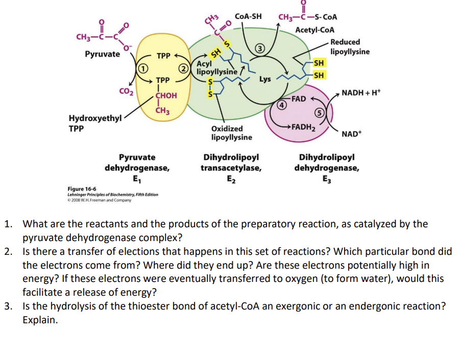 Solved 1. What are the reactants and the products of the | Chegg.com