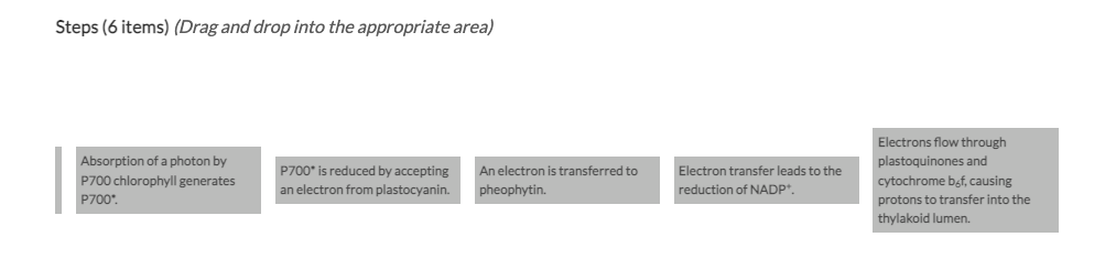 Solved The photosynthetic Z scheme results in the formation | Chegg.com